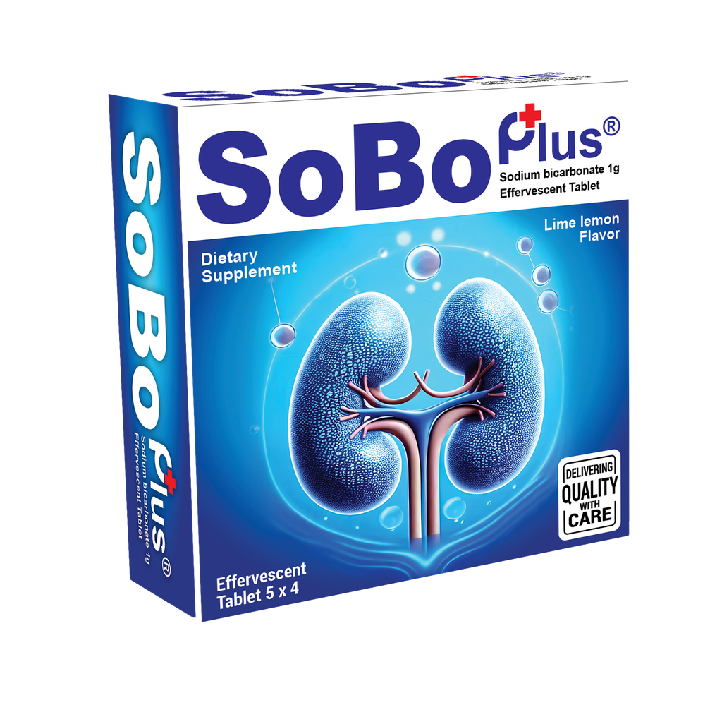 Собо Плас №20 шахмал RP International | Төв эм хангамж